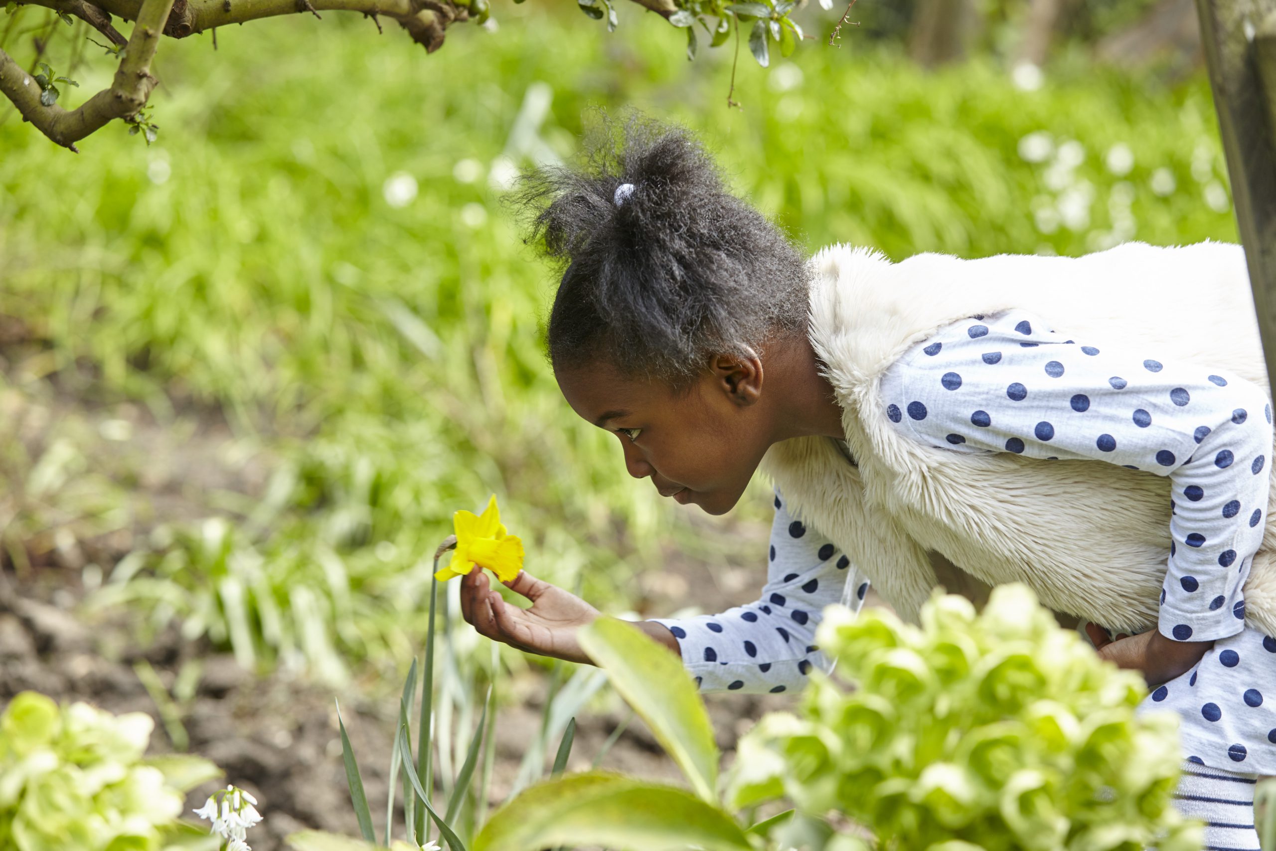 Smelling flowers 01 - First4Adoption
